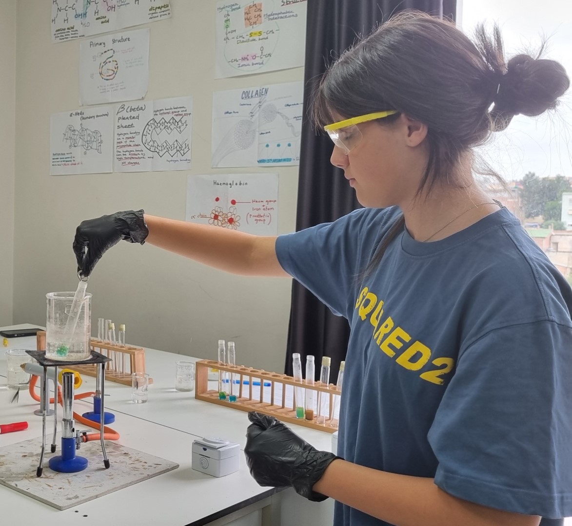 British School Algiers - Photos